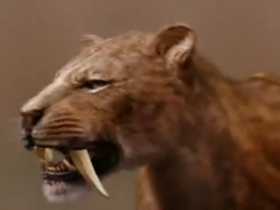 Saber Tooth Cat (Prehistoric Predators 2007) | Ultra Villains Wiki | Fandom