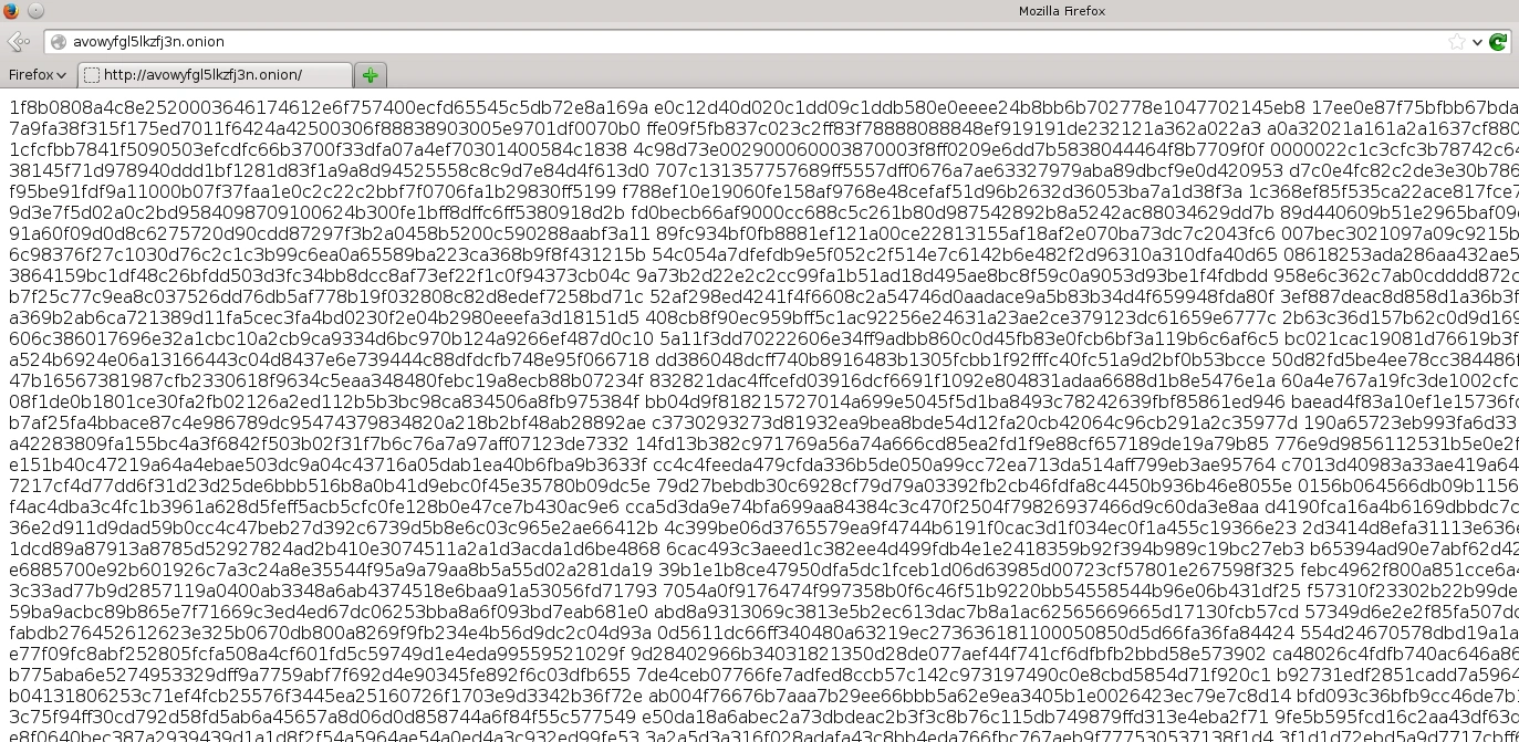 CICADA 3301 2014 PUZZLE FACTS PART 6 | Uncovering Cicada Wiki | Fandom