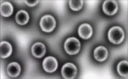 Photos from World War Z | Page 14 | alternatehistory.com