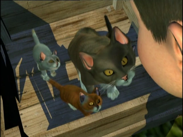 Catnapped | Underground Ernie Wiki | FANDOM powered by Wikia