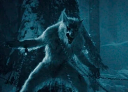 William Corvinus | Underworld Wiki | Fandom