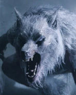 William Corvinus | Wiki Underworld | FANDOM powered by Wikia