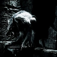 William Corvinus | Underworld Wiki | Fandom