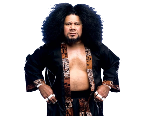 Haku (Pro Wrestler) | Universe of Smash Bros Lawl Wiki | Fandom