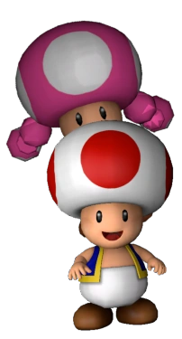 Toad and Toadette | UNN (Ultimate Nintendo Night) Wiki | Fandom