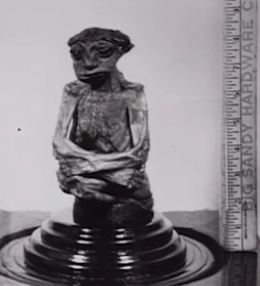 San Pedro Mummy | Unsolved Mysteries Wiki | FANDOM powered by Wikia