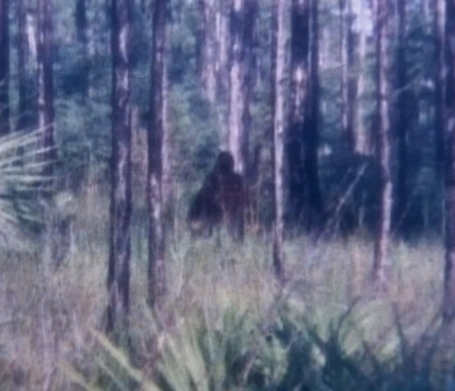 The Skunk Ape Unsolved Mysteries Wiki Fandom Powered By Wikia