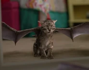 Nory Horace (Film) | Upside Down Magic Wiki | Fandom