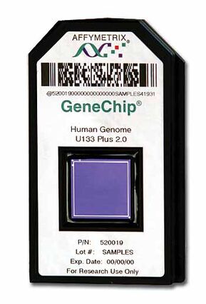 Gene chip | UVM Genetics & Genomics Wiki | FANDOM powered by Wikia