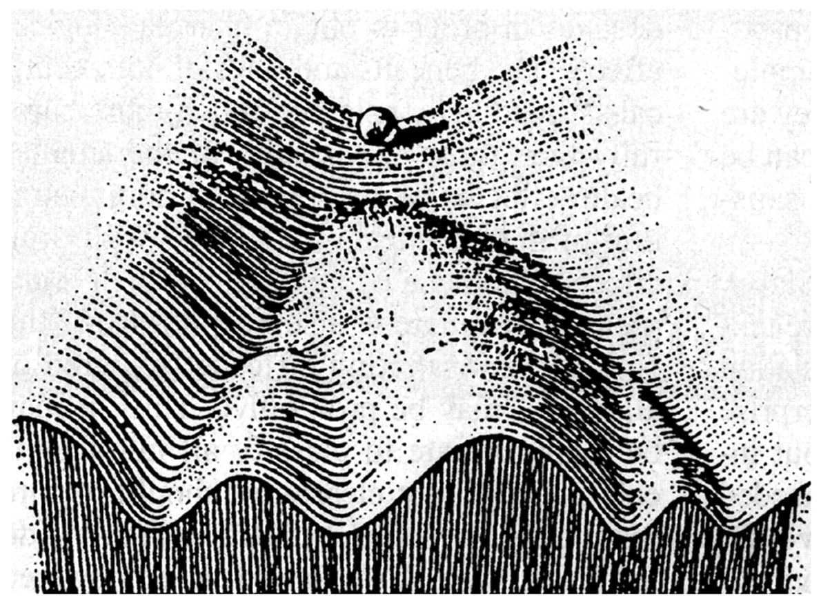 Waddington, Conrad | UVM Genetics & Genomics Wiki | Fandom