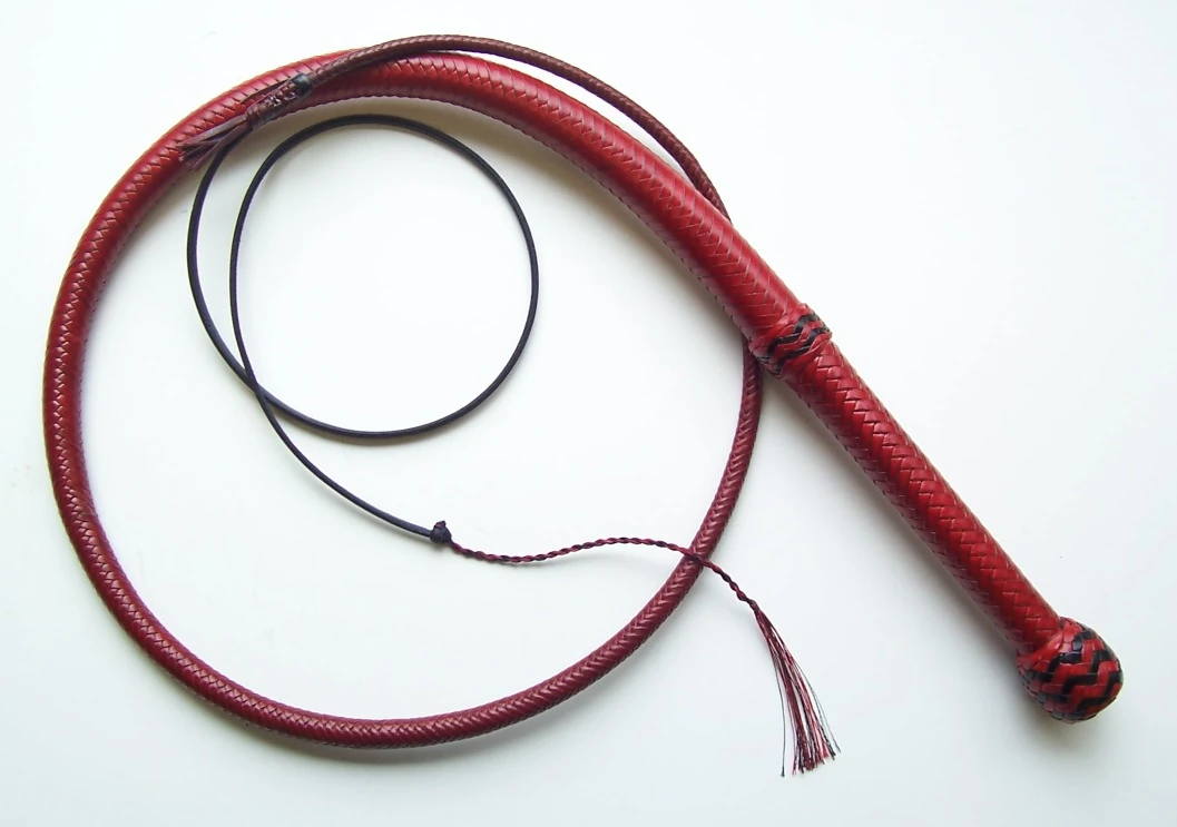 Image - 4 Foot Red LS Bullwhip 16 plait.jpg | Valkyrie Crusade Wiki ...