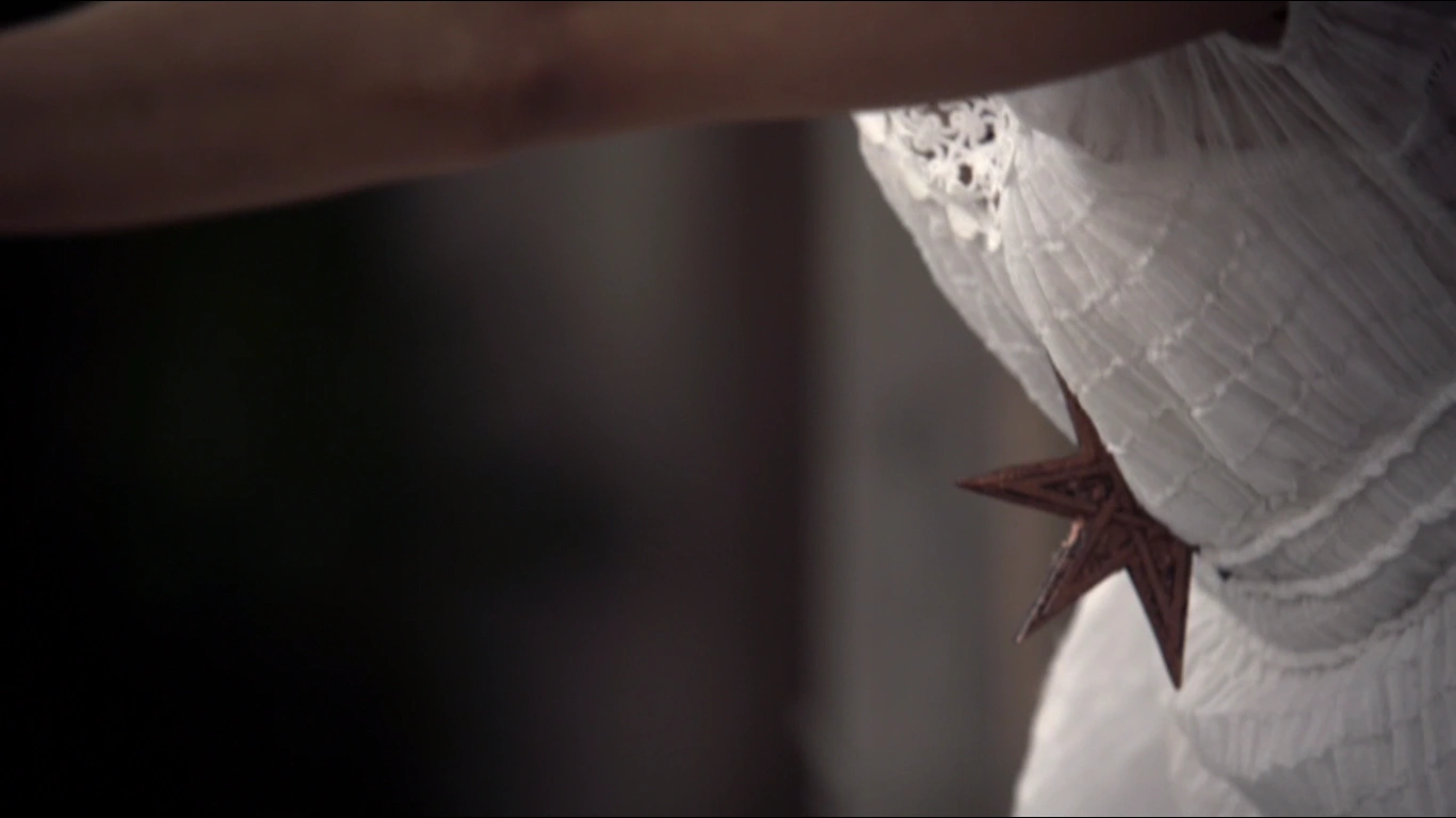 The Devil's Star | The Vampire Diaries Wiki | Fandom