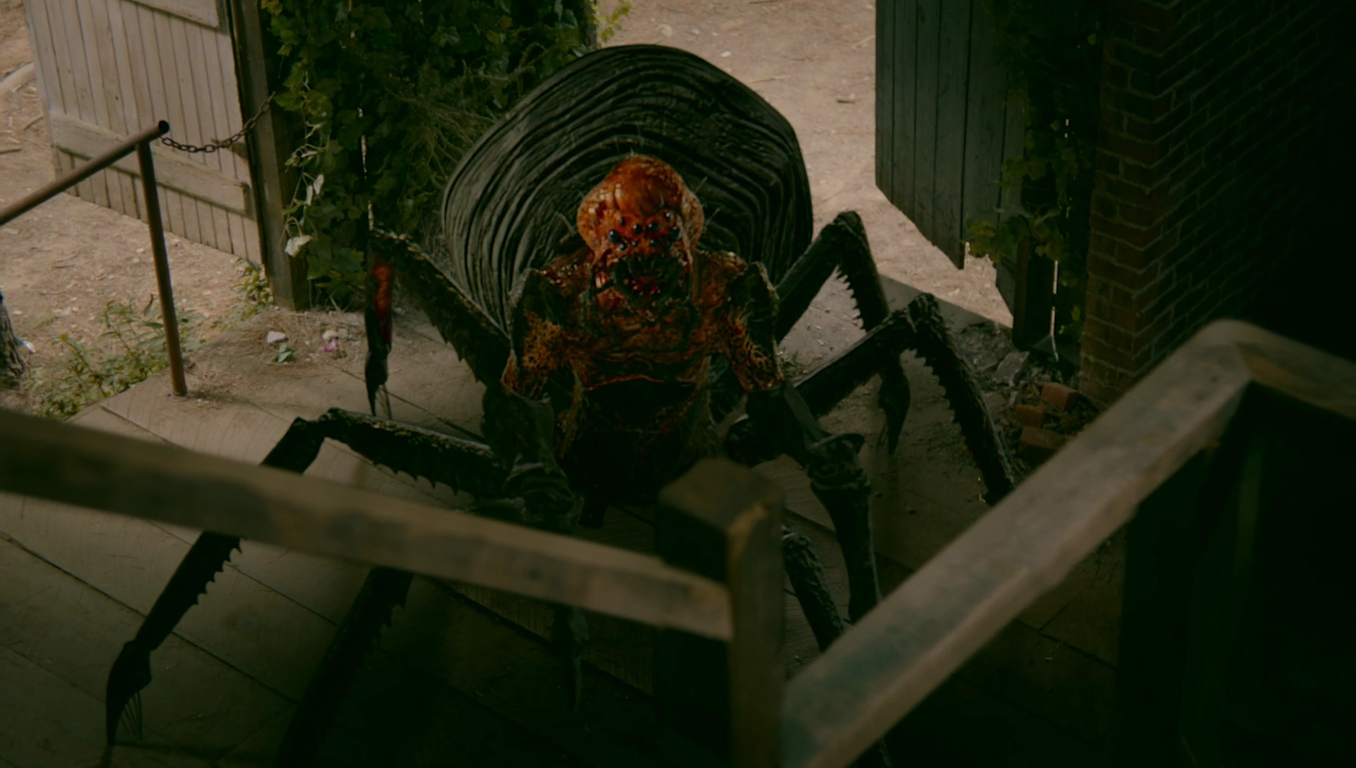Arachne | The Vampire Diaries Wiki | Fandom