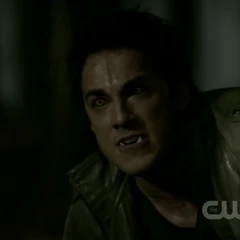 Loups-garous | Wiki Vampire Diaries France | FANDOM powered by Wikia