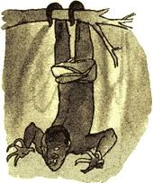 Adze vampire - realtimewest