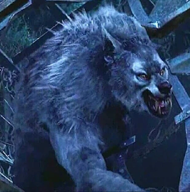 Grey Werewolf | Van Helsing Wiki | Fandom