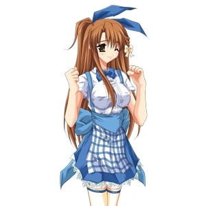 Sanari Misumi | Variable Geo Wiki | Fandom