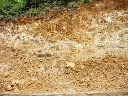 Saprolite | Venturian Battle Headquarters Wikia | Fandom