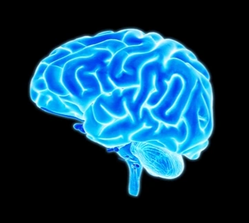 Boltzmann Brain | Verse and Dimensions Wikia | Fandom