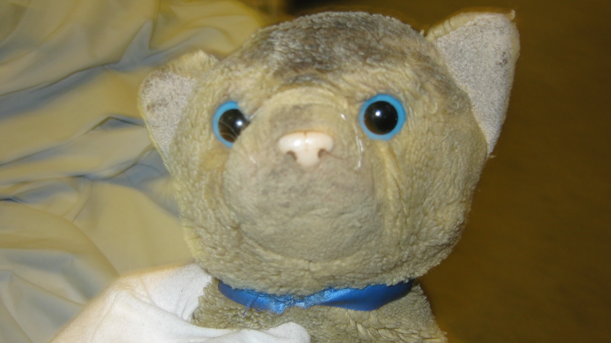 Vester | Vesterandfriends Wiki | FANDOM powered by Wikia