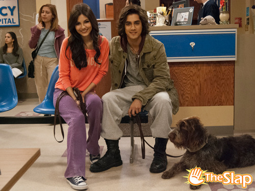 Opposite Date | Victorious Wiki | Fandom