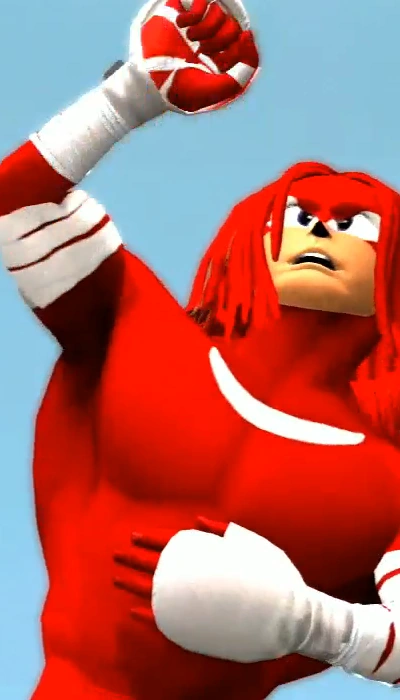 Knuckles the Echidna | Video Game Championship Wrestling Wiki | Fandom