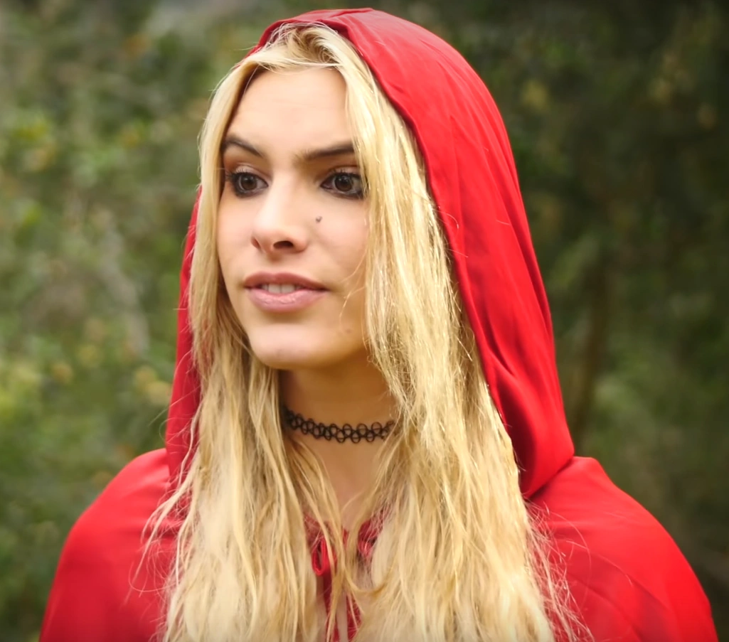 Wicked Witch of the West (Little Red Riding Hood's Untold Story ...