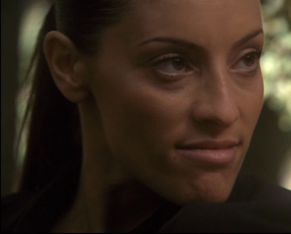 Evil Jo Lupo (Eureka) | Villainous Beauties Wiki | Fandom