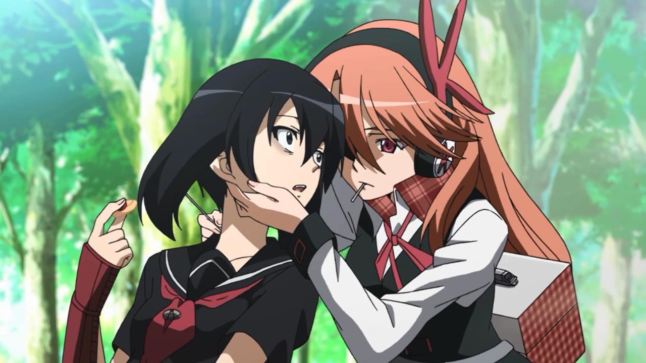 Image 798460 Akame Ga Kill 17 Large 23 Villains Wiki Fandom Powered By Wikia