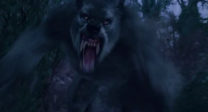Grey Werewolf | Villains Wiki | Fandom