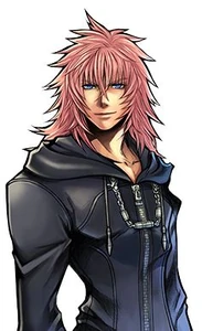 Marluxia | Villains Wiki | Fandom