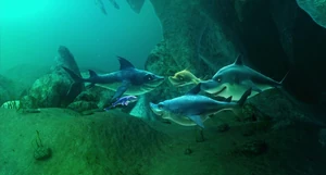 Troy (The Reef)/Gallery | Villains Wiki | Fandom