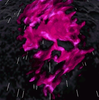 Shinen | Villains Wiki | Fandom