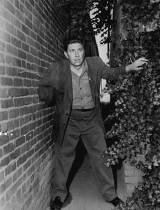 One-Armed Man | Villains Wiki | FANDOM powered by Wikia