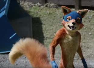 Swiper the Fox | Villains Wiki | Fandom