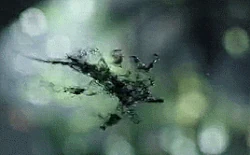 Xenomorphs | Villains Wiki | Fandom