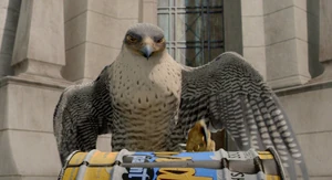 Falcon (Stuart Little)/Gallery | Villains Wiki | FANDOM powered by Wikia