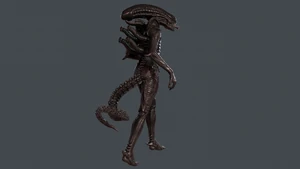 Xenomorphs/Gallery | Villains Wiki | Fandom