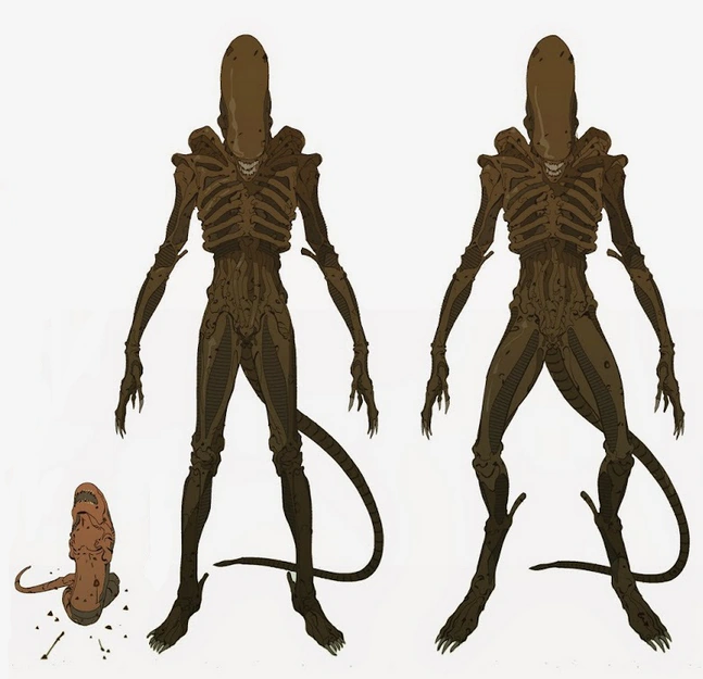 Xenomorph Drones | Villains Wiki | FANDOM powered by Wikia