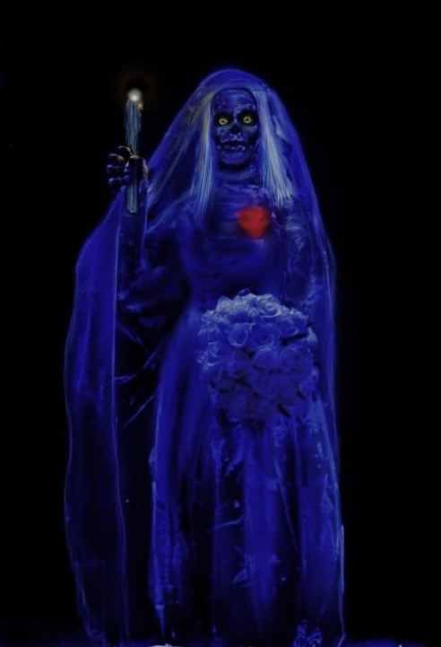 The Bride (The Haunted Mansion) | Villains Wiki | Fandom