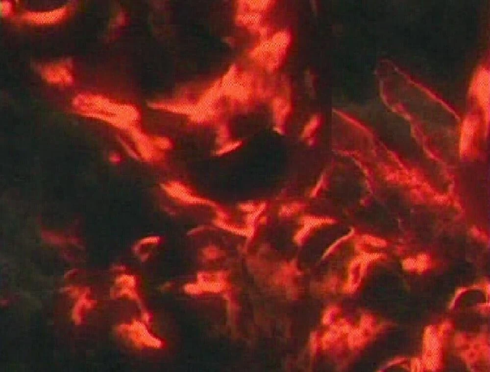 The Darkness (Twitches) | Villains Wiki | FANDOM powered by Wikia