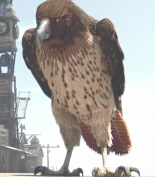 Hawk (Rango) | Villains Wiki | FANDOM powered by Wikia