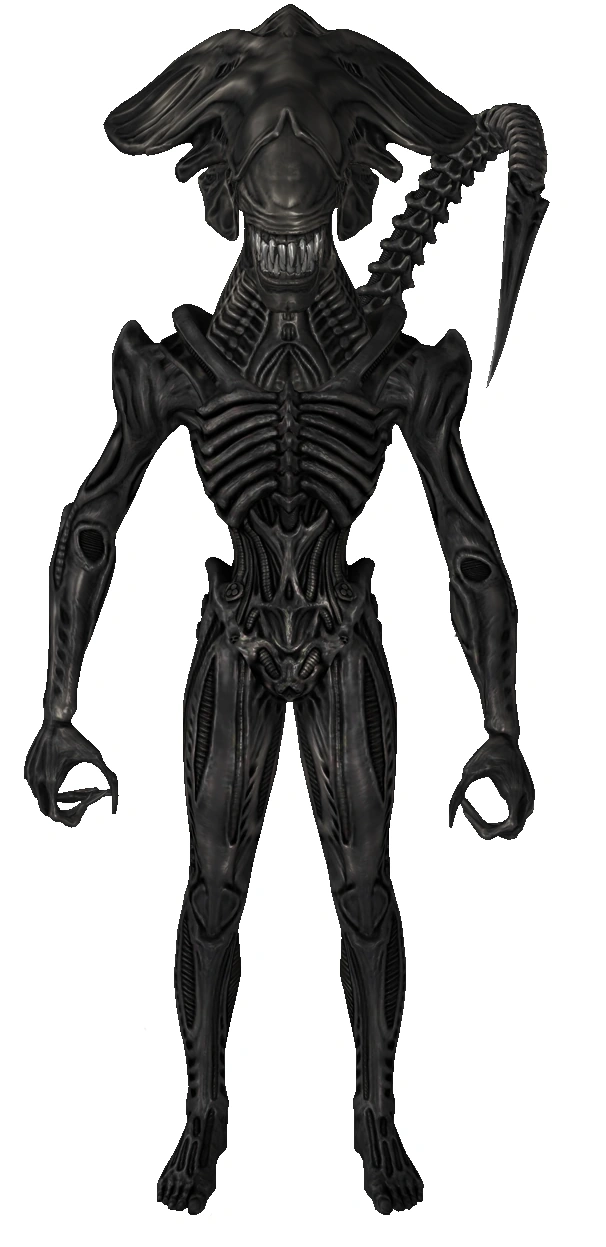 Xenomorph Villains Wiki Fandom