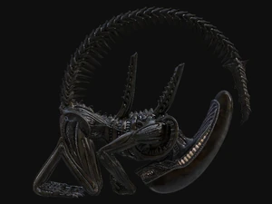 Xenomorphs/Gallery | Villains Wiki | Fandom
