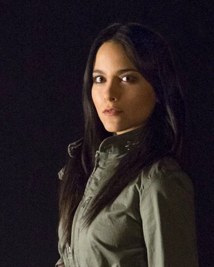 Agent 33 (Marvel Cinematic Universe) | Villains Wiki | Fandom