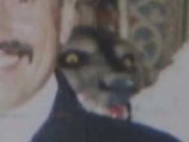 Martinez Dog Demon | Villains Wiki | Fandom