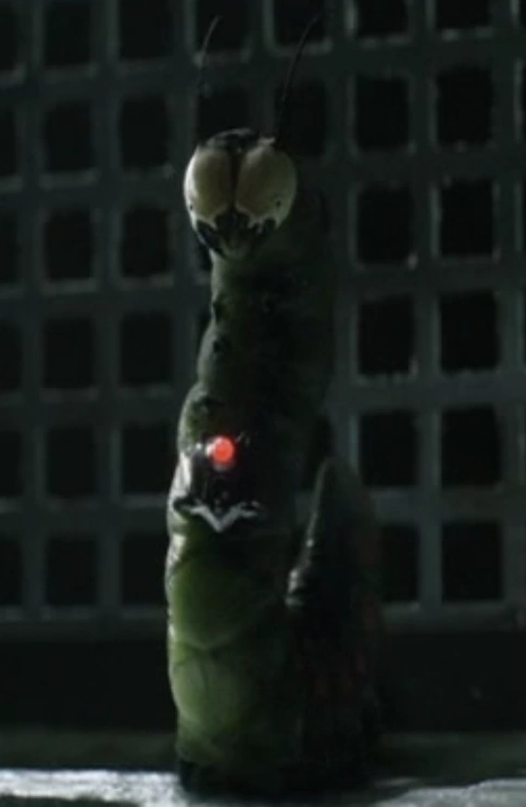 Mister Mind (DC Extended Universe) | Villains Wiki | Fandom