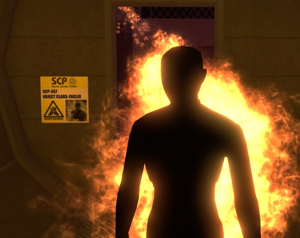 SCP-457 | Villains Wiki | Fandom