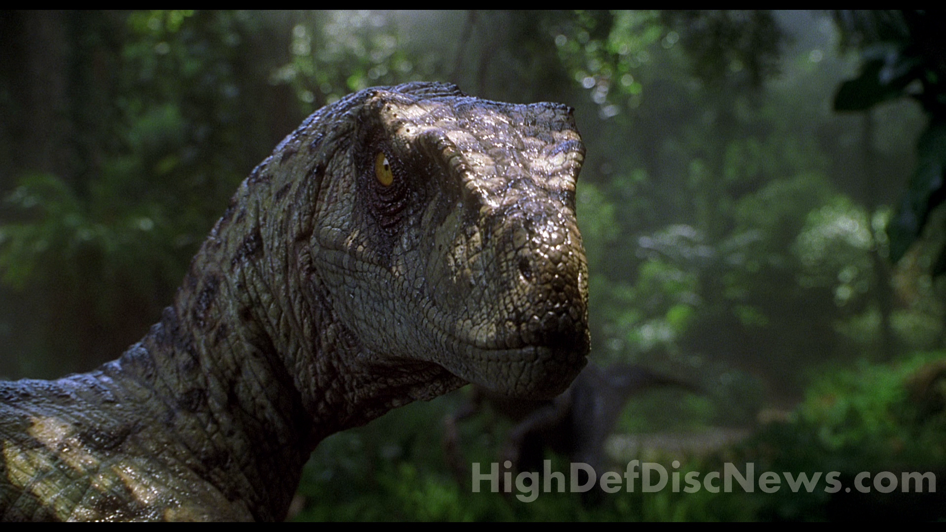 Image Jurassic Park 3 19png Villains Wiki Fandom Powered By Wikia