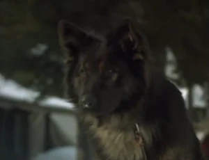 Spitz | Villains Wiki | FANDOM powered by Wikia